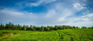 The real Tragedy of the Commons - New Local